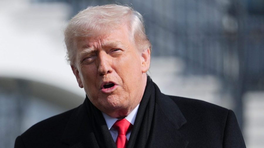 Trump on Alex Pretti shooting: ‘You can’t walk in with guns’