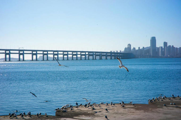 중국 대련 여행, 제주도 보다 일찍 도착하는 중국에서 가장 깨끗한 도시?