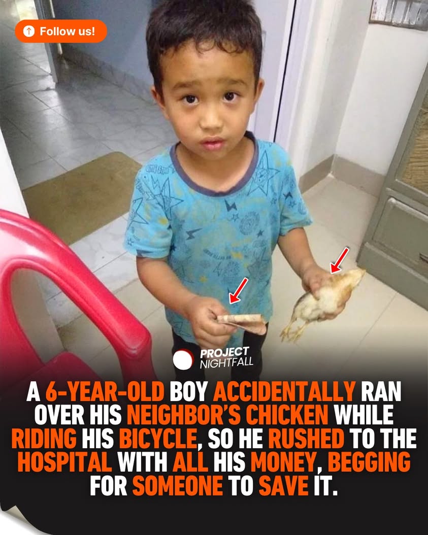This boy didn’t just cross the road… he carried the chicken to the ...