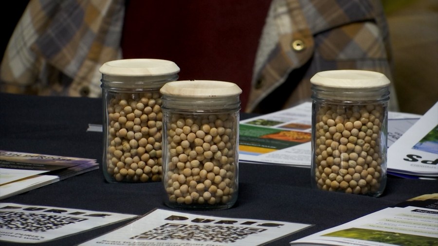 Northern Pulse Growers Association hosts annual convention in Minot to ...