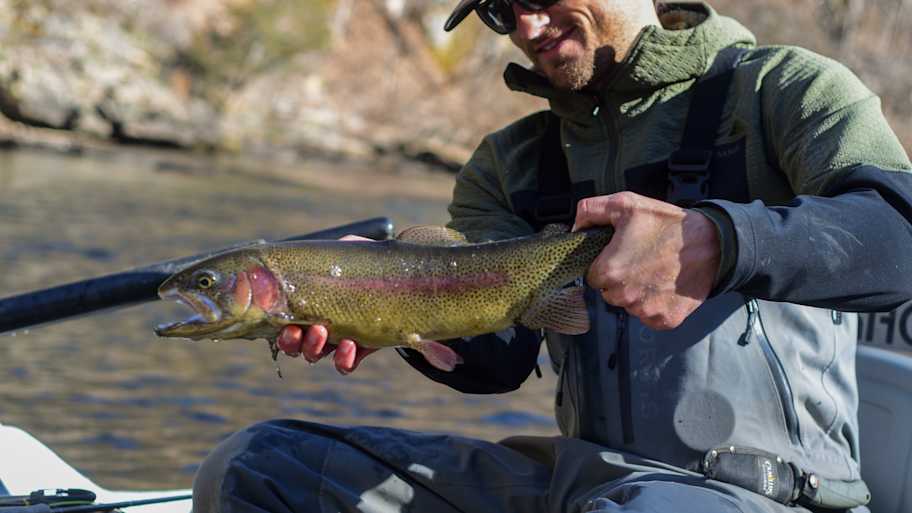 Why the Blue Ridge Mountains are one of the best winter trout fisheries ...