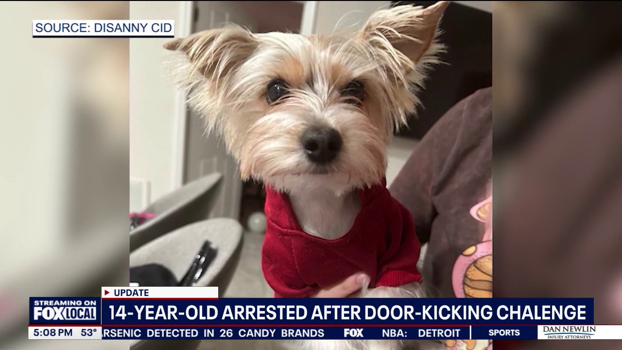Teen arrested after TikTok door-kicking challenge linked to dog’s death