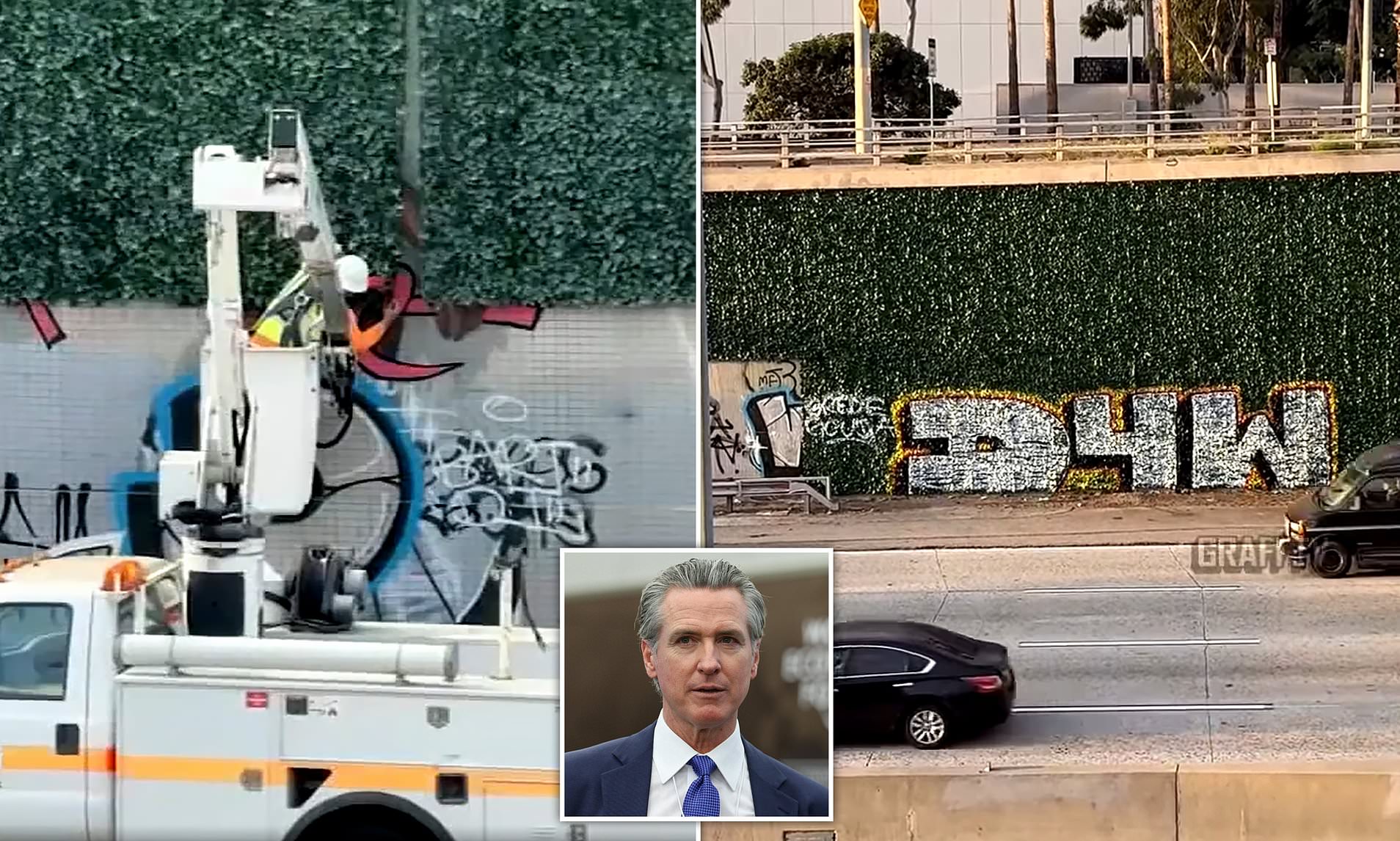 Decision to install 'graffiti-proof' ivy on LA freeway goes ...