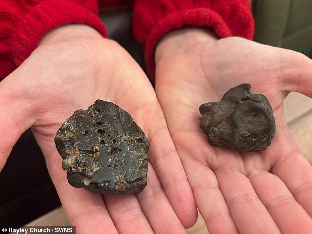 Girl, nine, finds meteorite 'older than the Earth' on UK beach