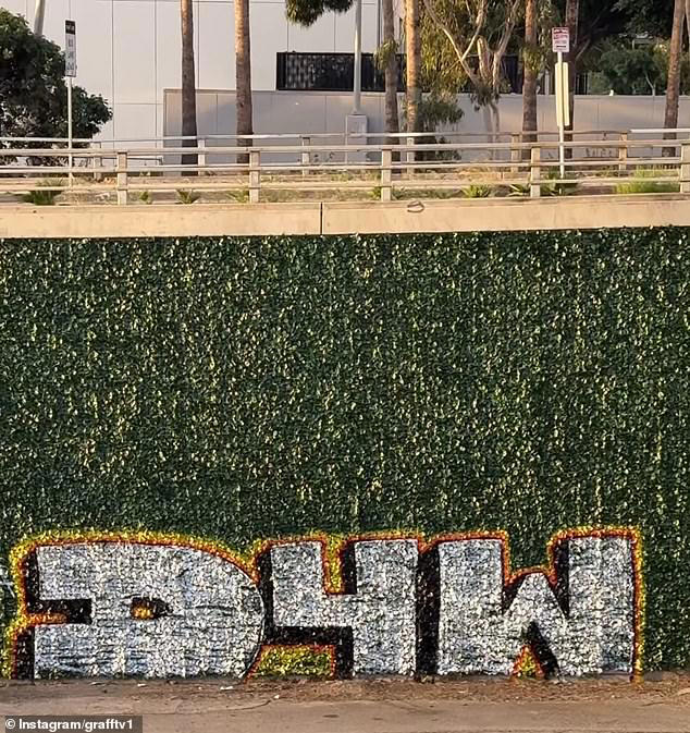 Decision to install 'graffiti-proof' ivy on LA freeway goes ...