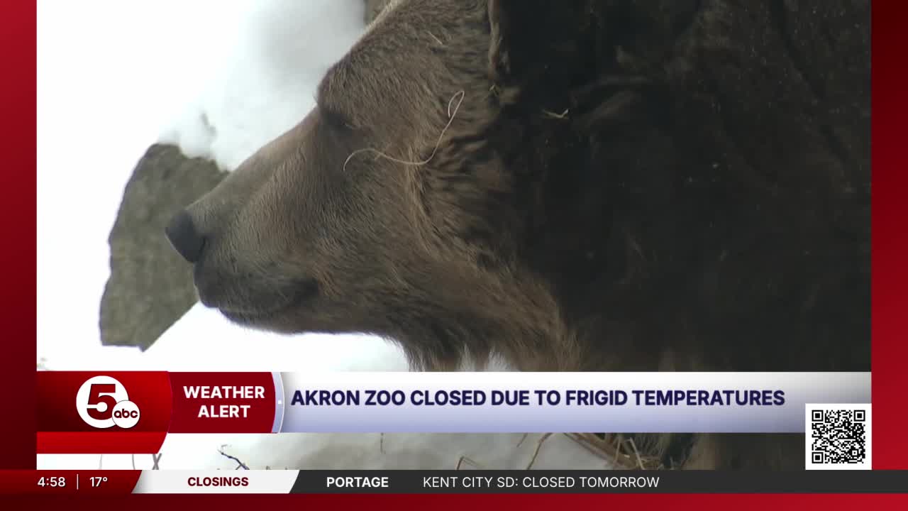 Akron Zoo closing for 5th day in a row, keepers working to keep animals ...
