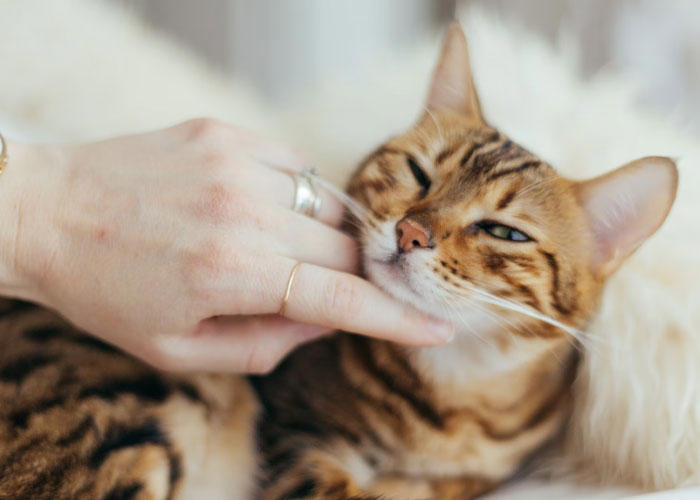 Childfree people over 40 reveal whether they regret their life choices