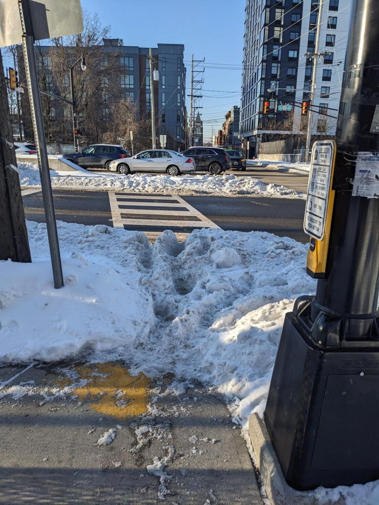 Jersey City’s lefty new mayor fails to plow streets enough to open ...