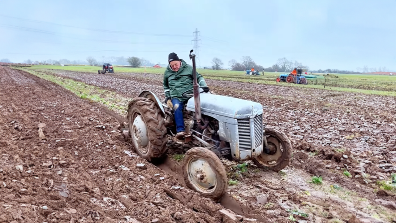 Ploughing with a Grey Fergie tractor
