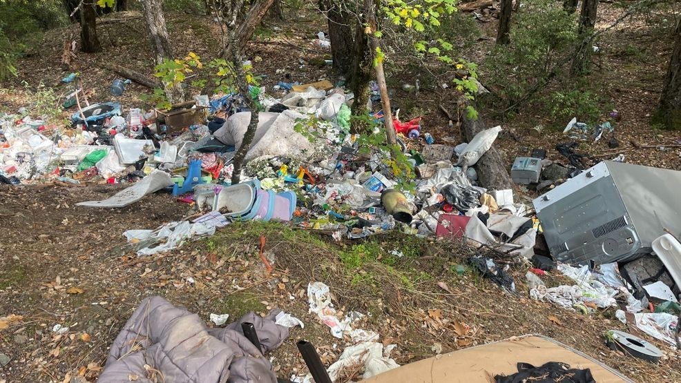 Suspect cited for illegal dumping on national forest land in Trinity County