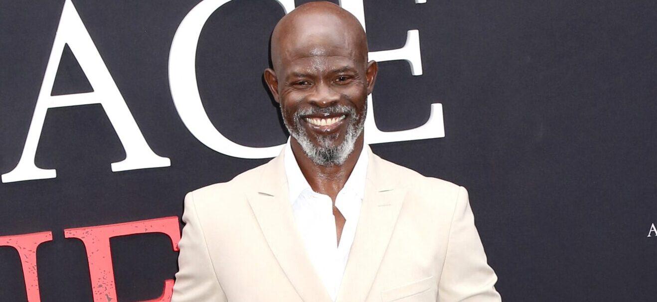 Djimon Hounsou's baby mama drama takes a shocking legal turn