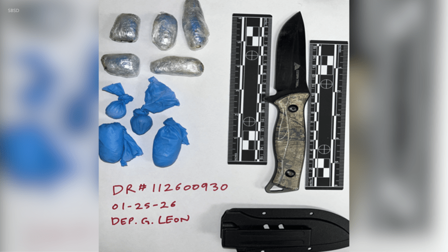 K-9 helps capture purse thief in Southern California: SBSD