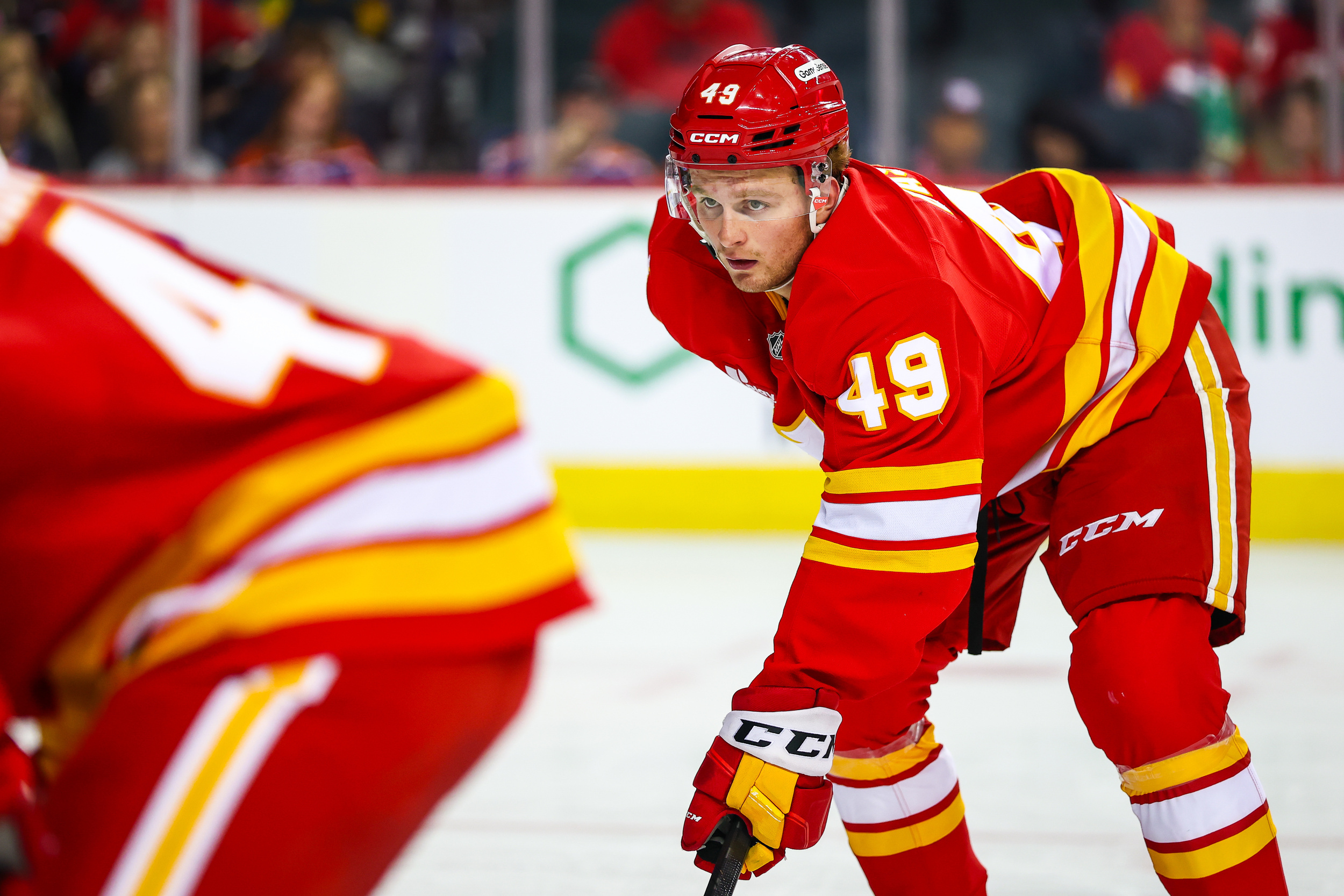 Flames prospect round: Andrew Basha continues to dominate since being ...