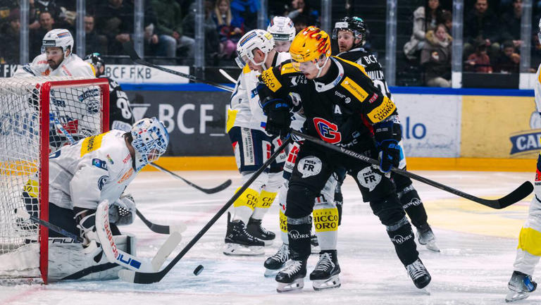 Deux points de plus pour les Dragons : Fribourg fait mieux que Genève ...