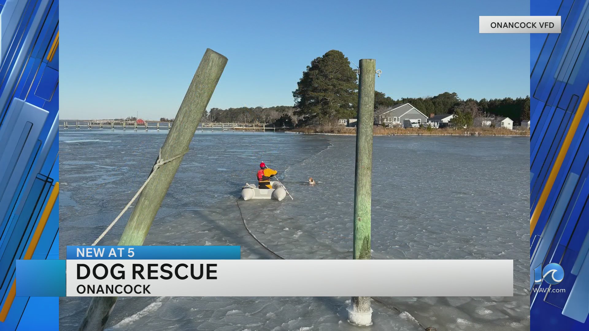 Dog rescued from frozen Accomack County creek