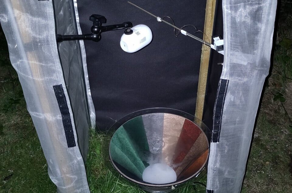 Artificial nighttime lighting is suppressing moth activity, new ...