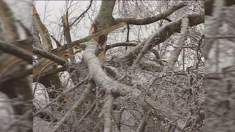 Tennessee battles winter storm damage, echoes 1994 ice storm destruction