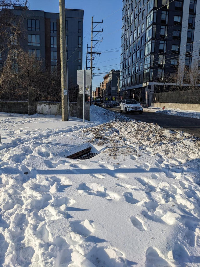Jersey City’s lefty new mayor fails to plow streets enough to open ...