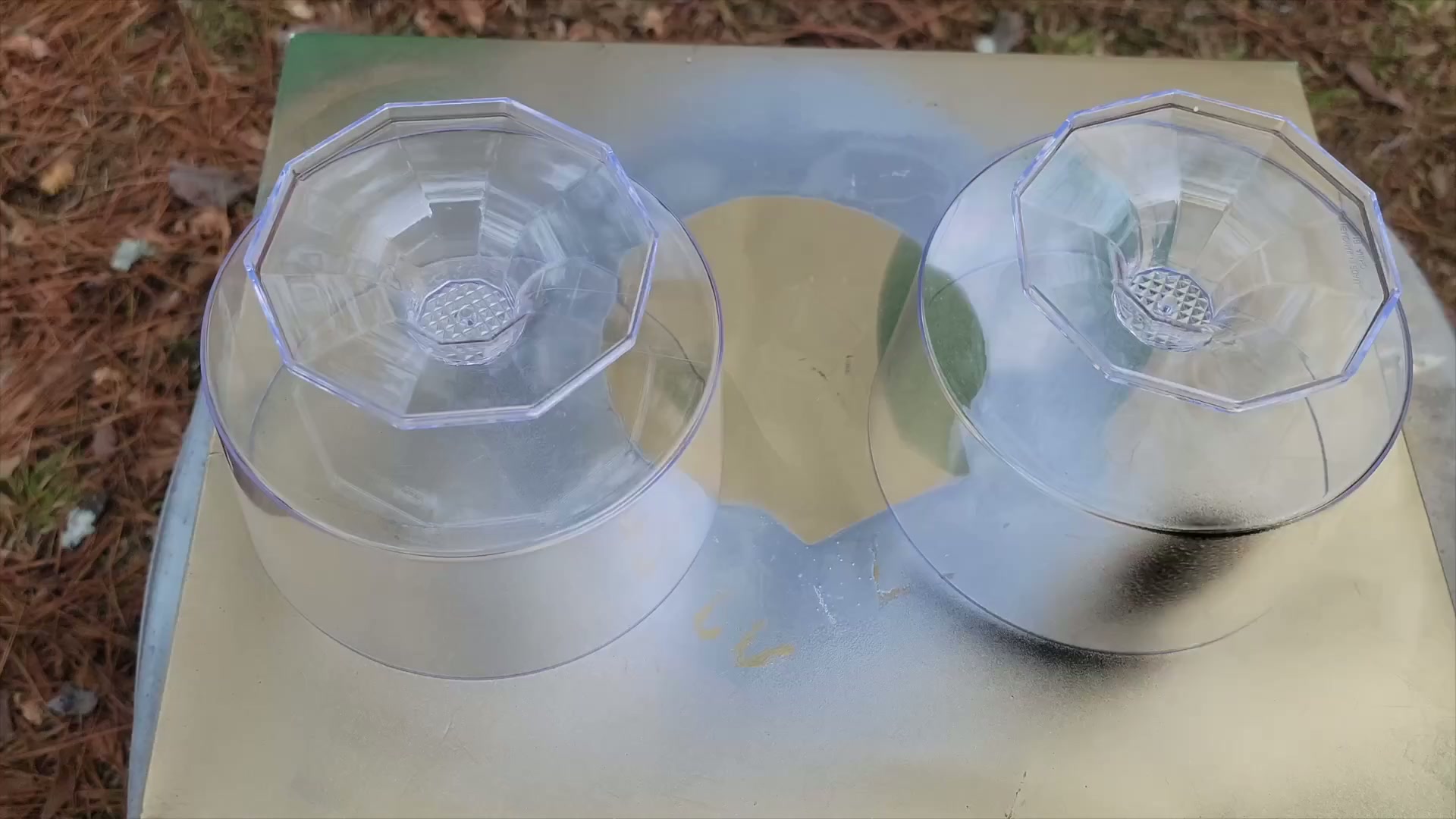 Why everyone is buying these $2 Dollar Store plates!