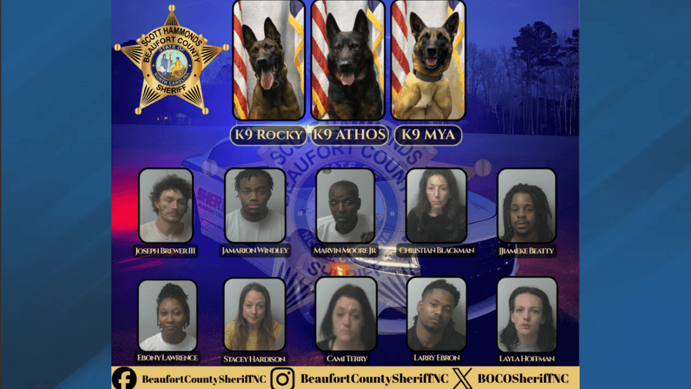 Beaufort County Sheriff's Office arrests 10 on felony drug charges
