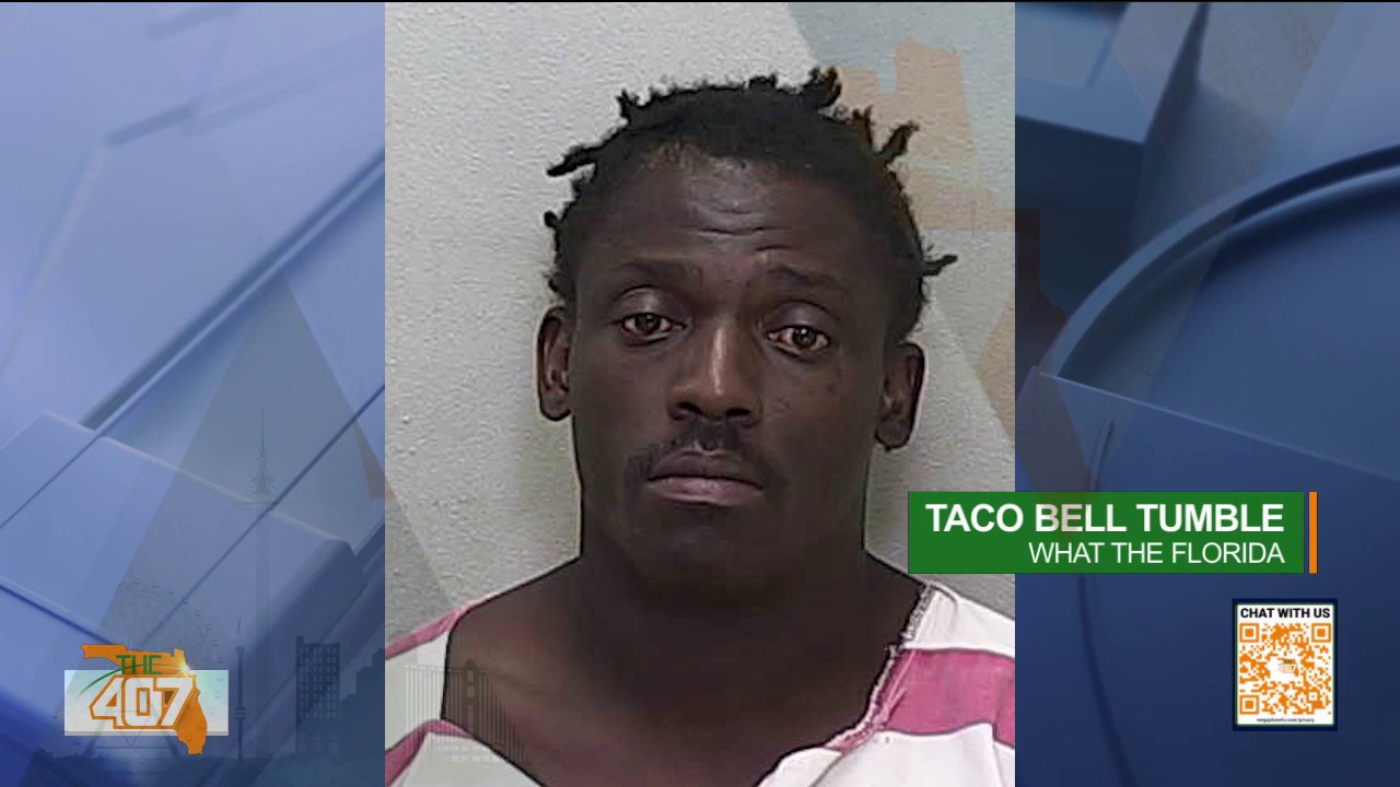 Steve Lemme talks Super Troopers 3 & Florida Man Games