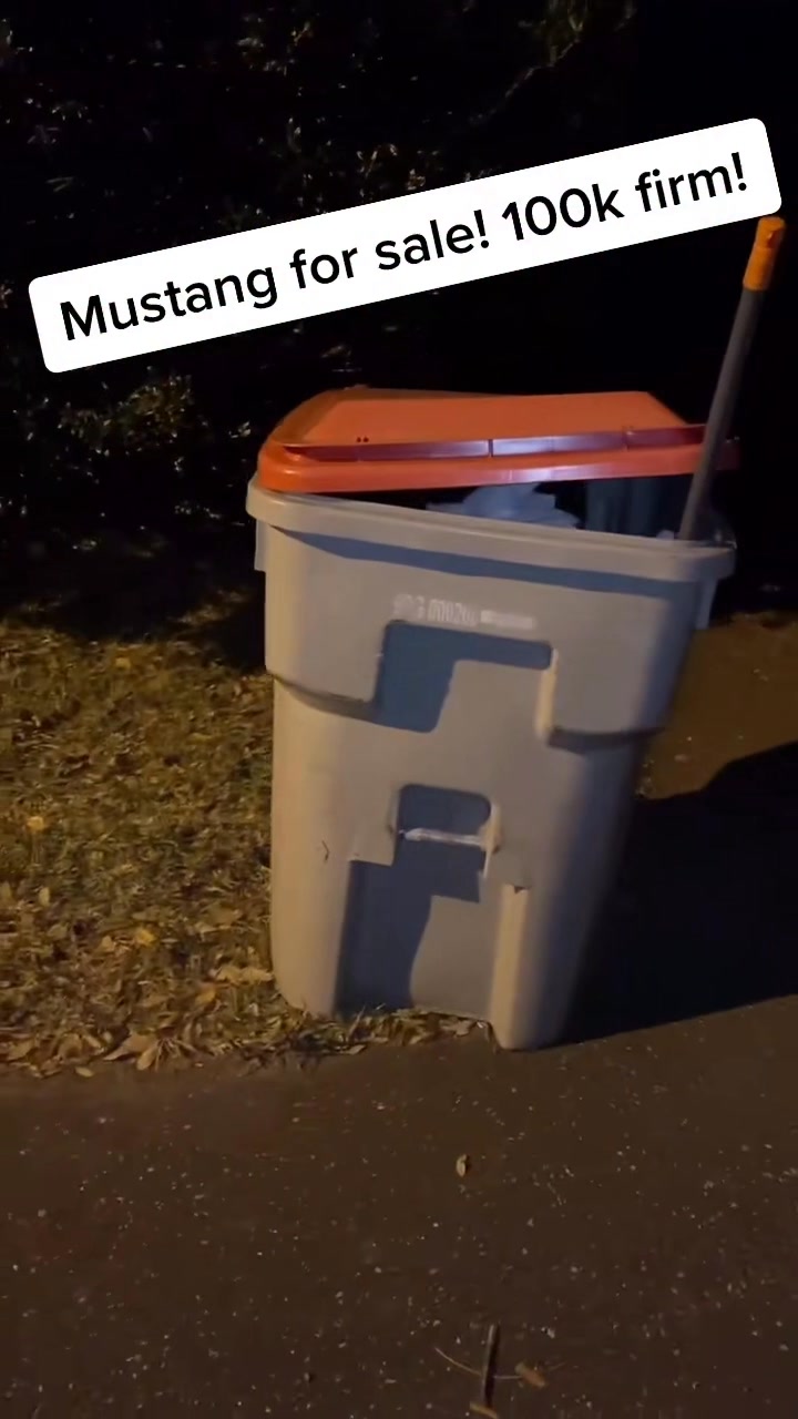 Mint condition Mustang