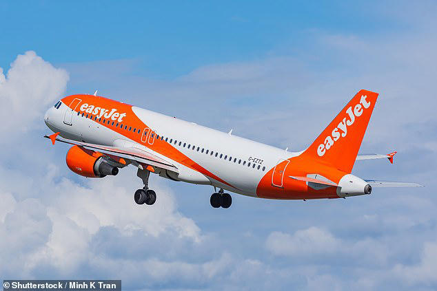 EasyJet advert banned after making 'misleading claims' about cabin bag ...