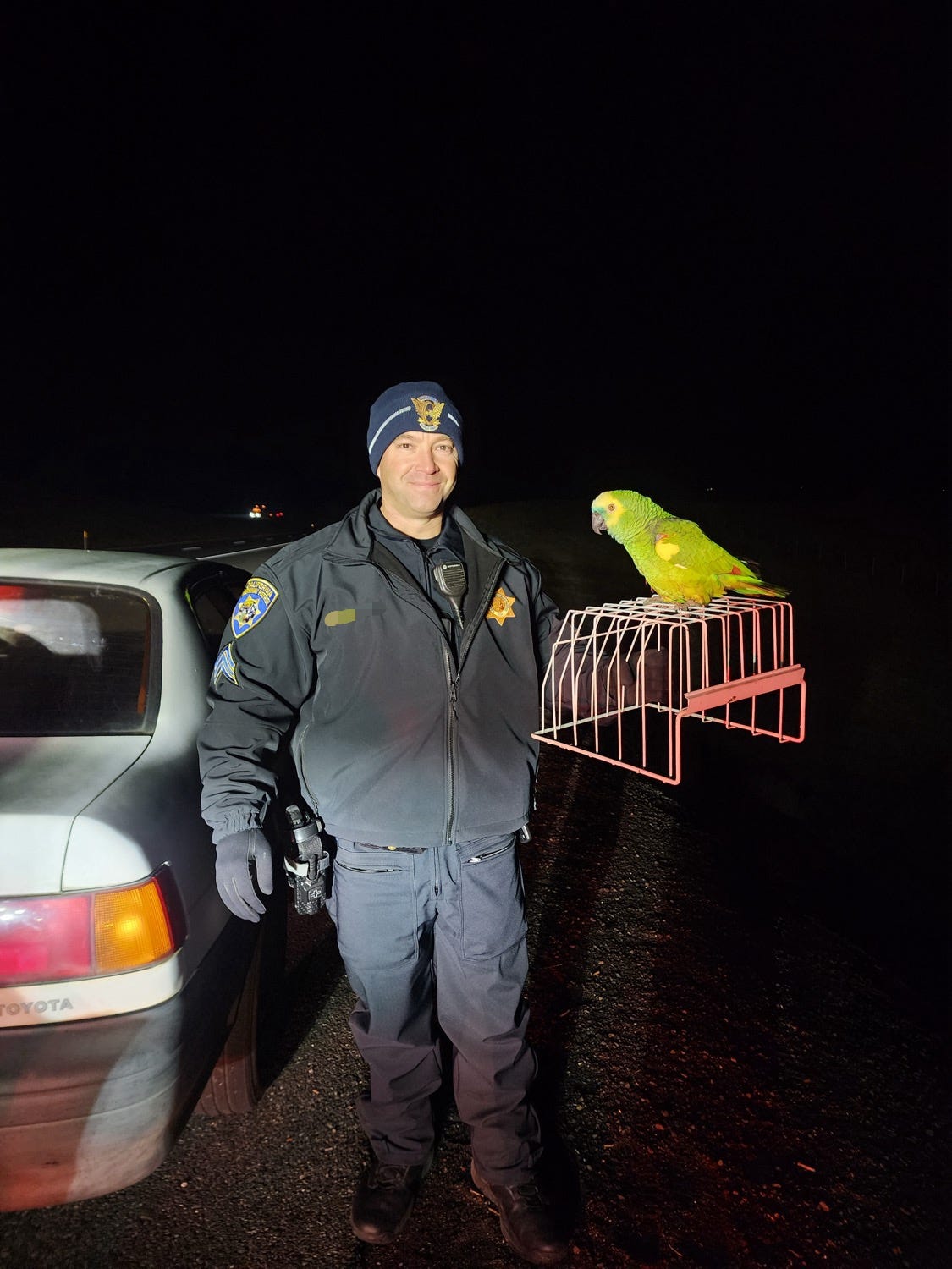 Parrot taken into custody after I-5 DUI stop in Yreka