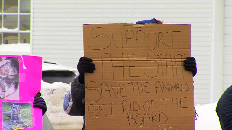 CNY SPCA staff members walk out of shelter in protest, demand new ...