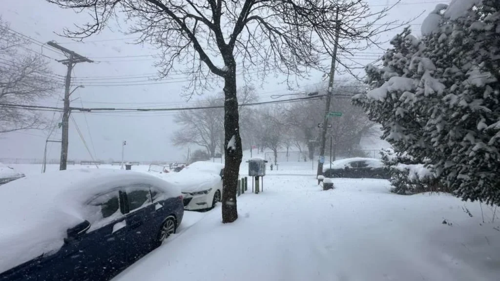 Tormenta invernal Fern deja al menos 30 muertos por frío extremo