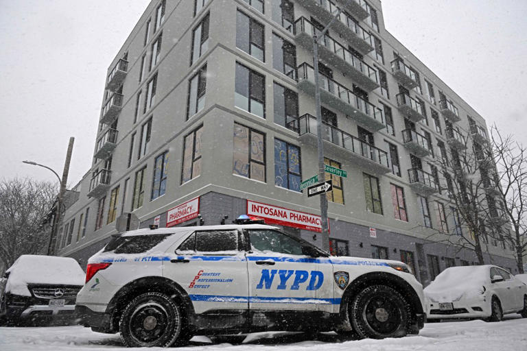 NYC mom accused of stuffing dead newborn into duffel bag cut loose as ...