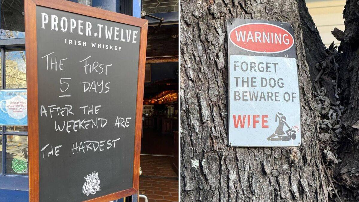 15+ wacky signs that piqued our curiosity