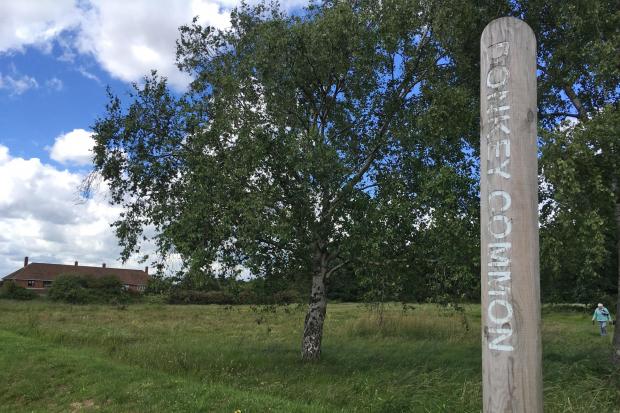 Exploring Southampton's Donkey Common and the legend behind the name
