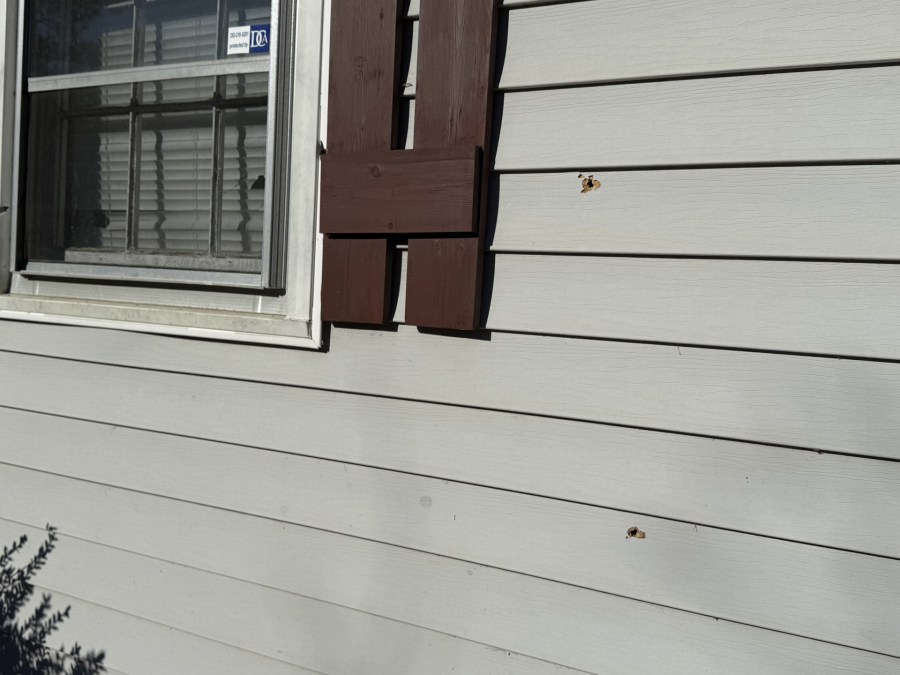 ‘I’m still stunned’: Wilson police look for people responsible for ...