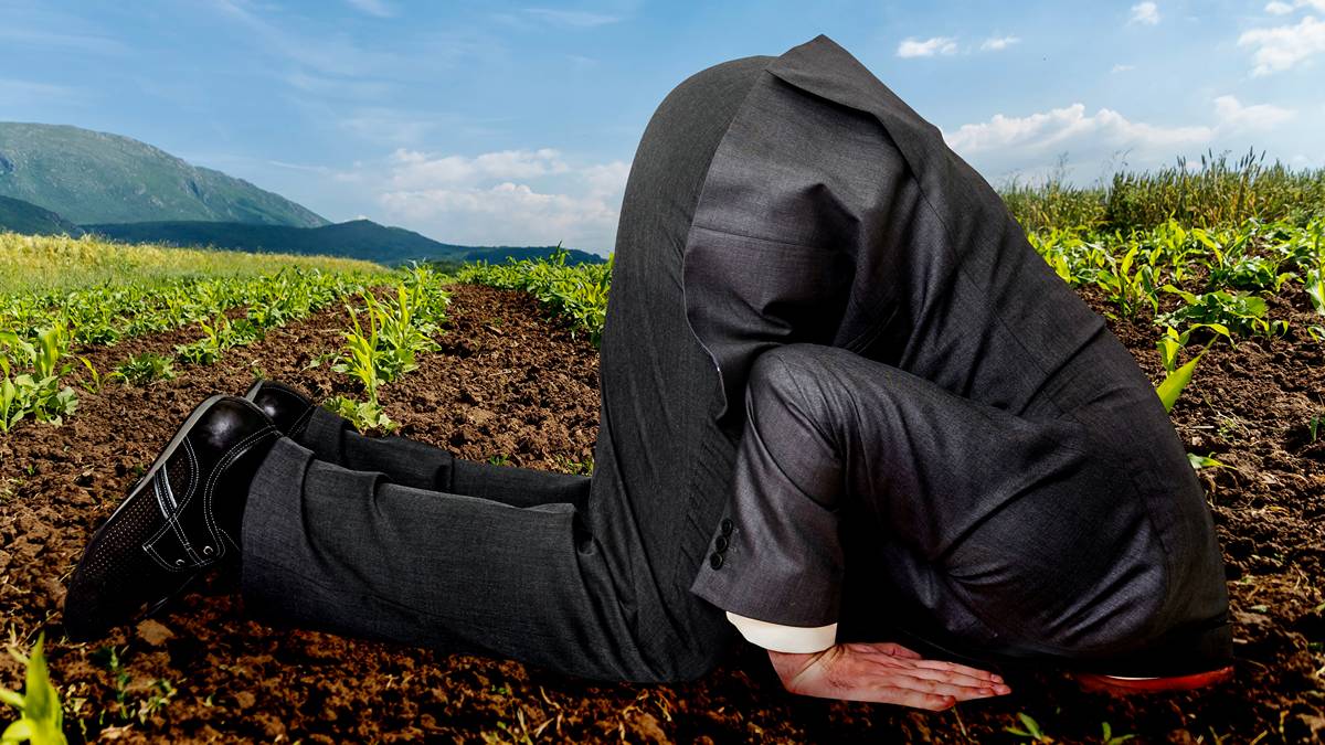 Magmatic Resources spots shallow gold at Weebo