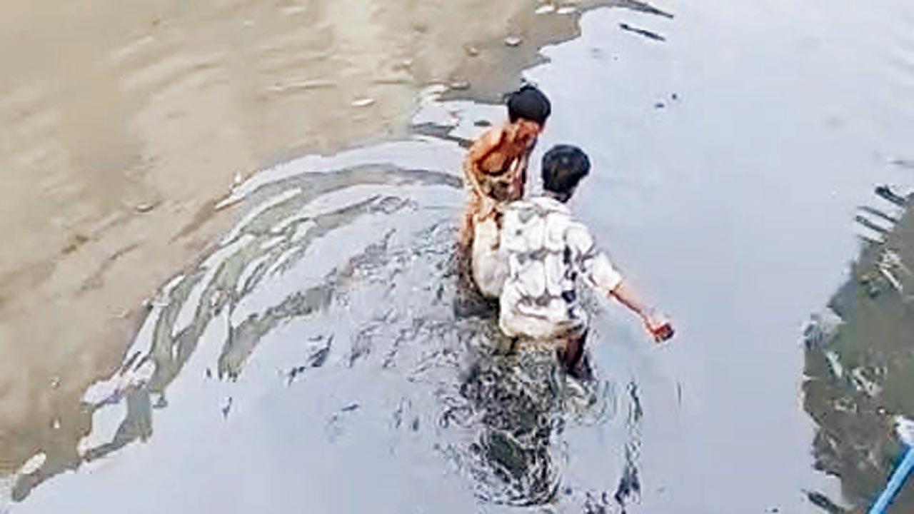 Stray dog beaten to death in Jogeshwari West, Mumbai Police book duo