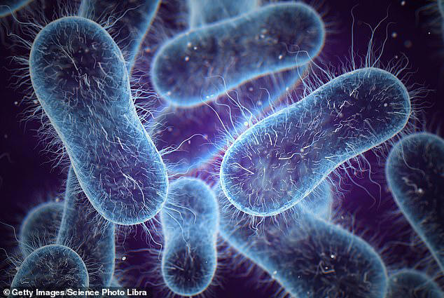 Health snack sold at Whole Foods urgently recalled over risk of ...