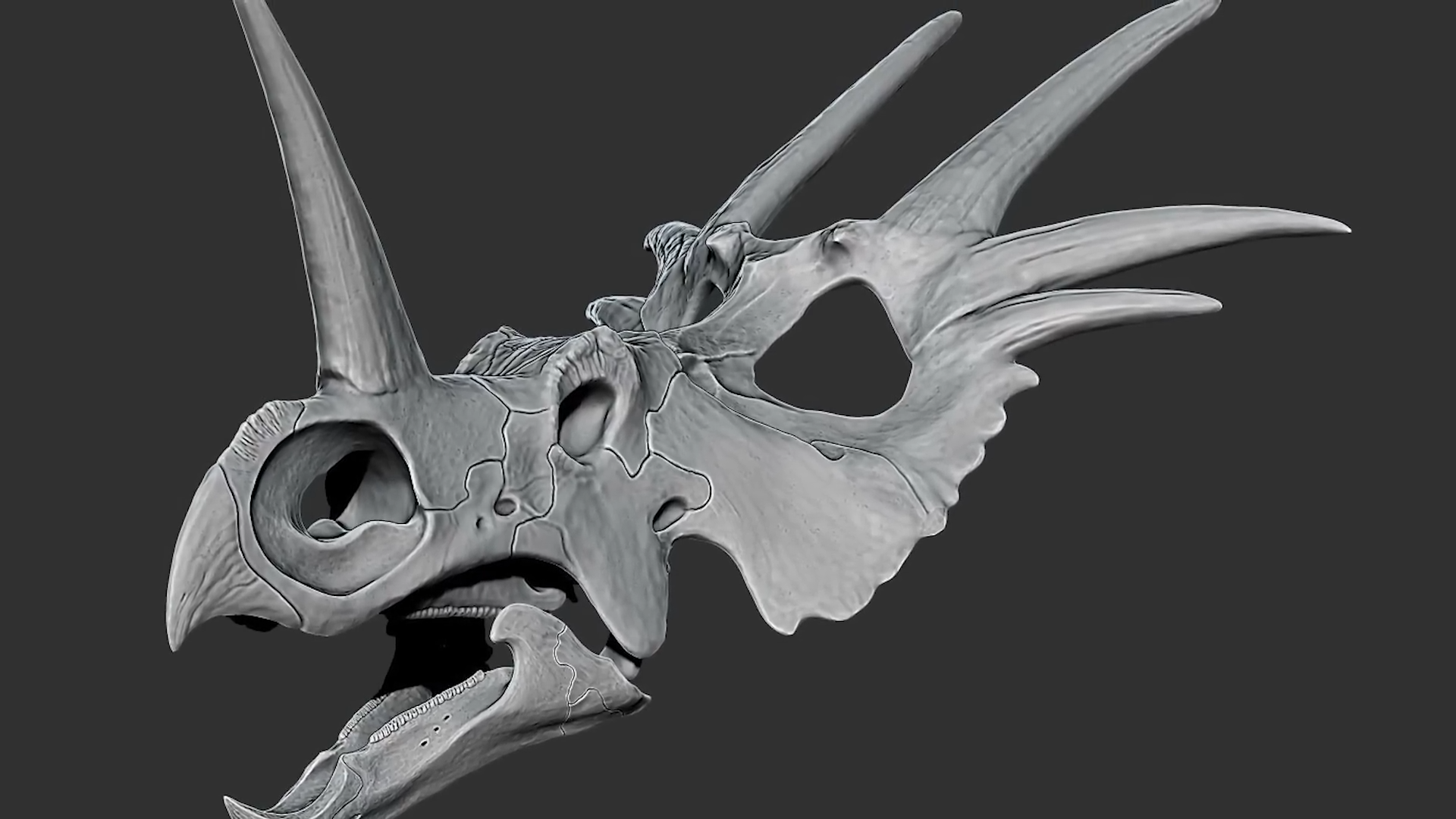 Giant plant-eaters of the Mesozoic and the mysteries hidden in their ...