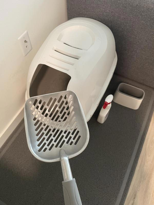 Say goodbye to cat-related stress with these 21 useful Chewy products