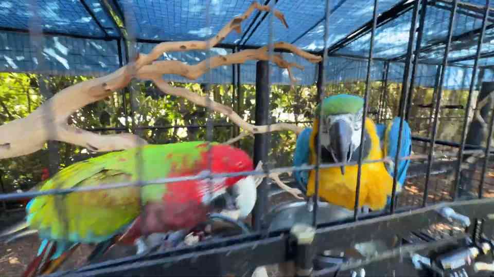 Routine care at Ryder’s Ranch reveals hidden dangers everywhere