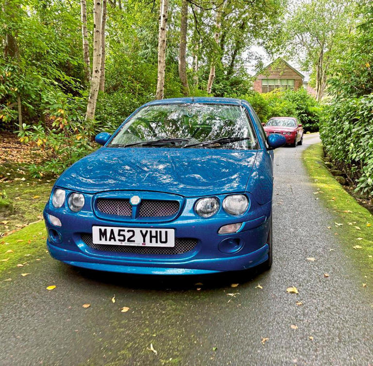 Better zed than dead