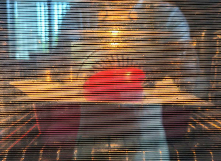 Cold pasta salad with peppers, corn and mozzarella