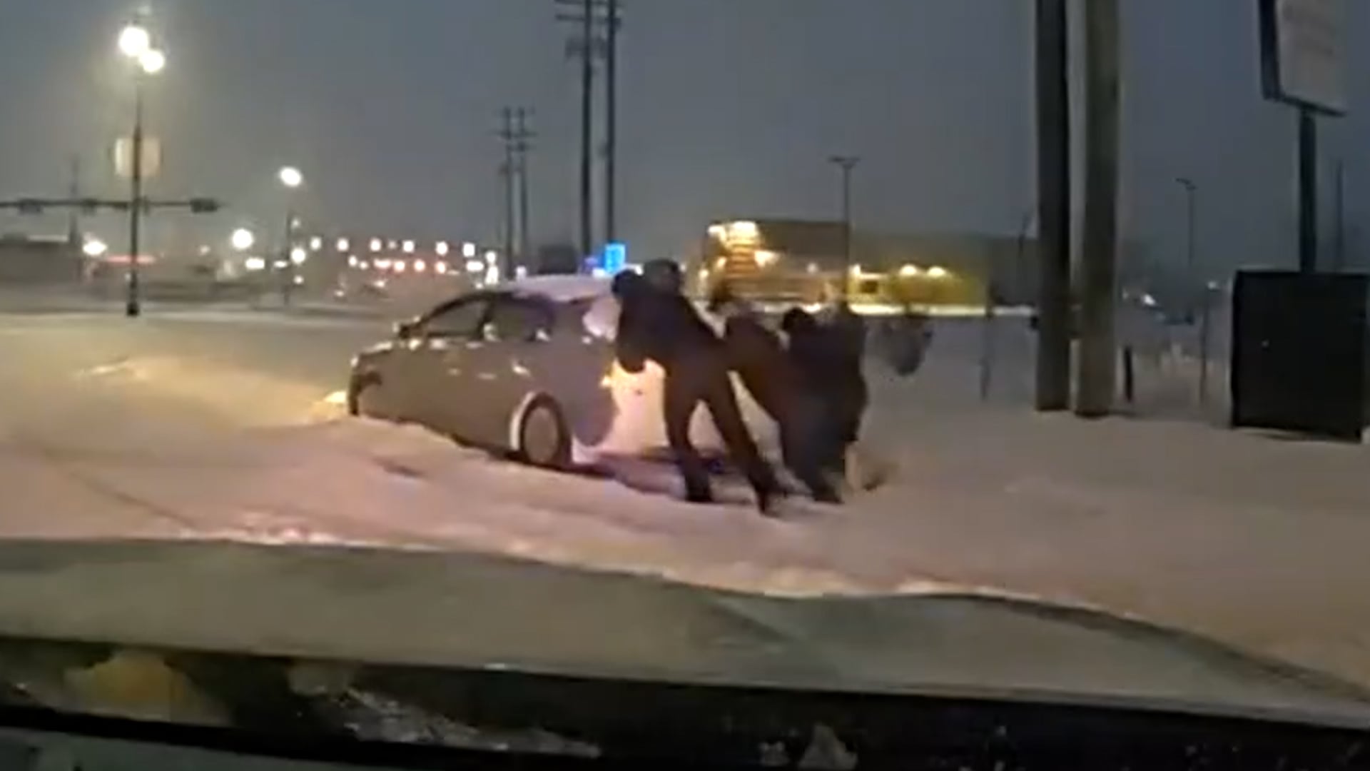 Turkish gendarmerie seizes nearly 350 kg of drugs