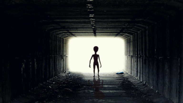 Joe Rogan warns UFO buzz is dead unless aliens show up as trust in ...