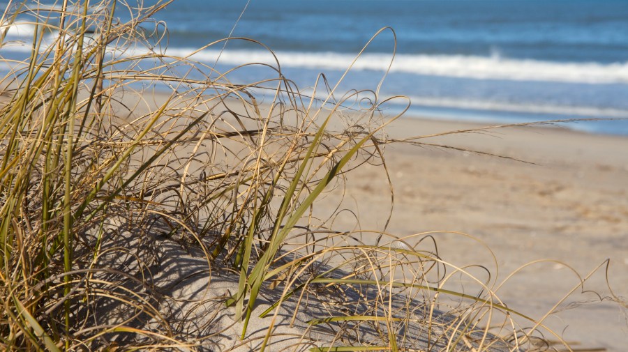 Body discovered in dunes at Cape Hatteras National Seashore