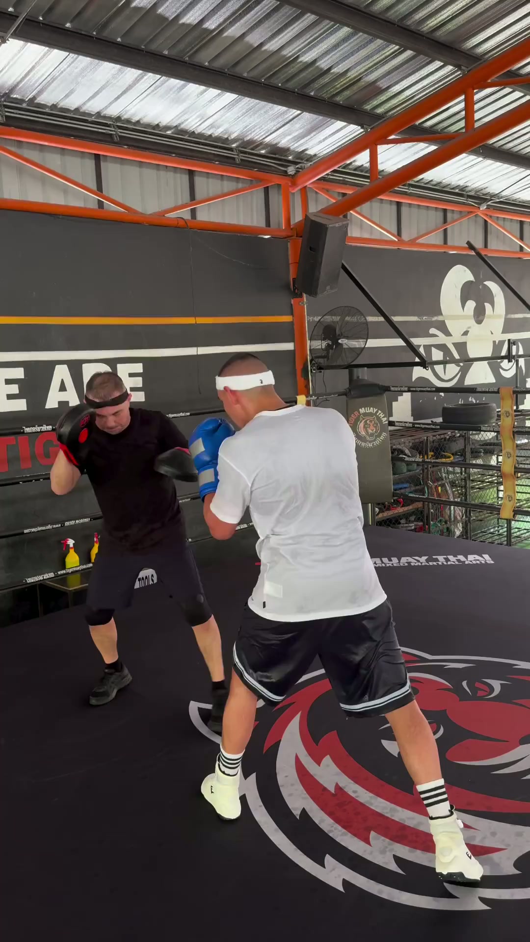 Tim Tszyu training with his father Kostya Tszyu working on technique 🔥