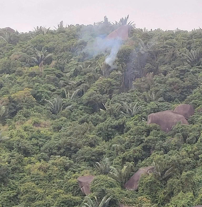 Military aircraft crashes in Vietnam mountainous area, pilot remains safe