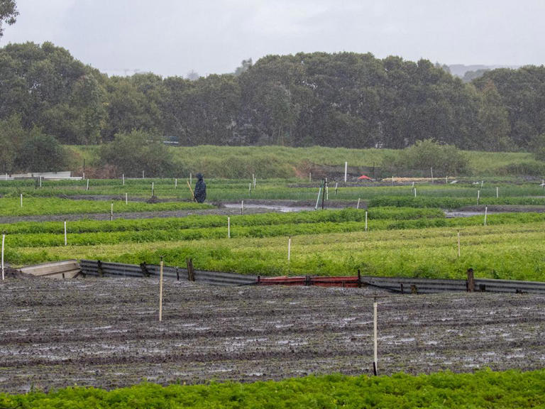 ‘Tough pill’: Towns fume over Sydney rubbish