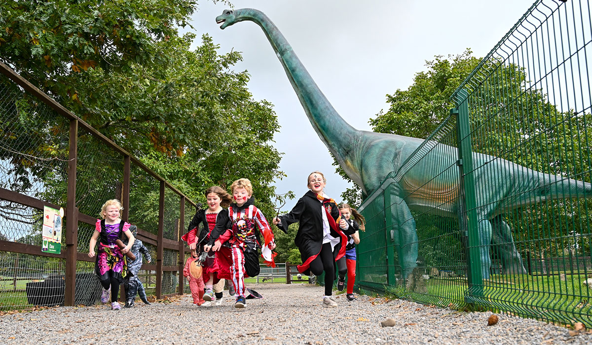 Ireland’s most family-friendly hotel wins Gold Medal Award for third ...