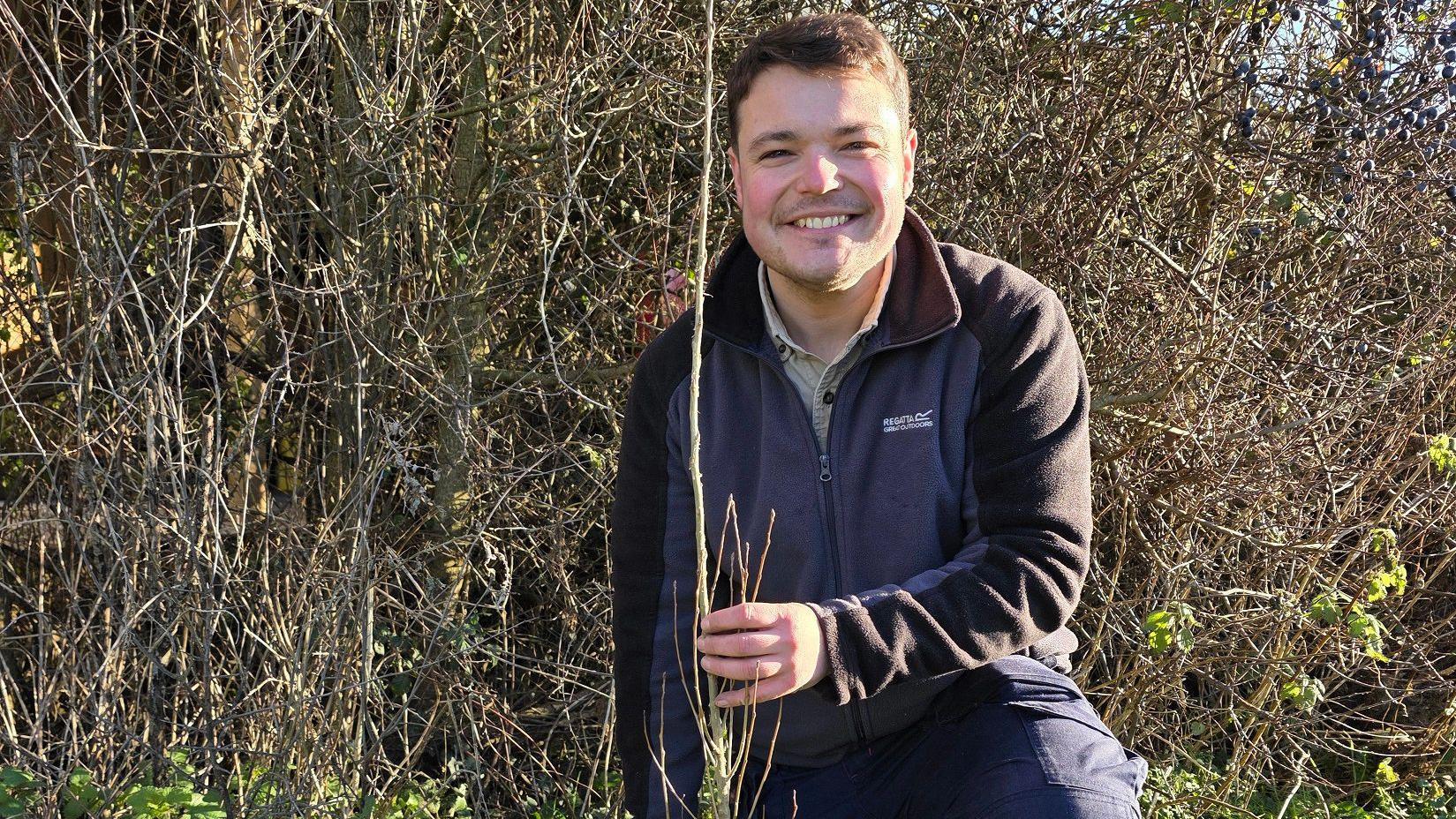 Joining the mission to save Britain's rarest tree